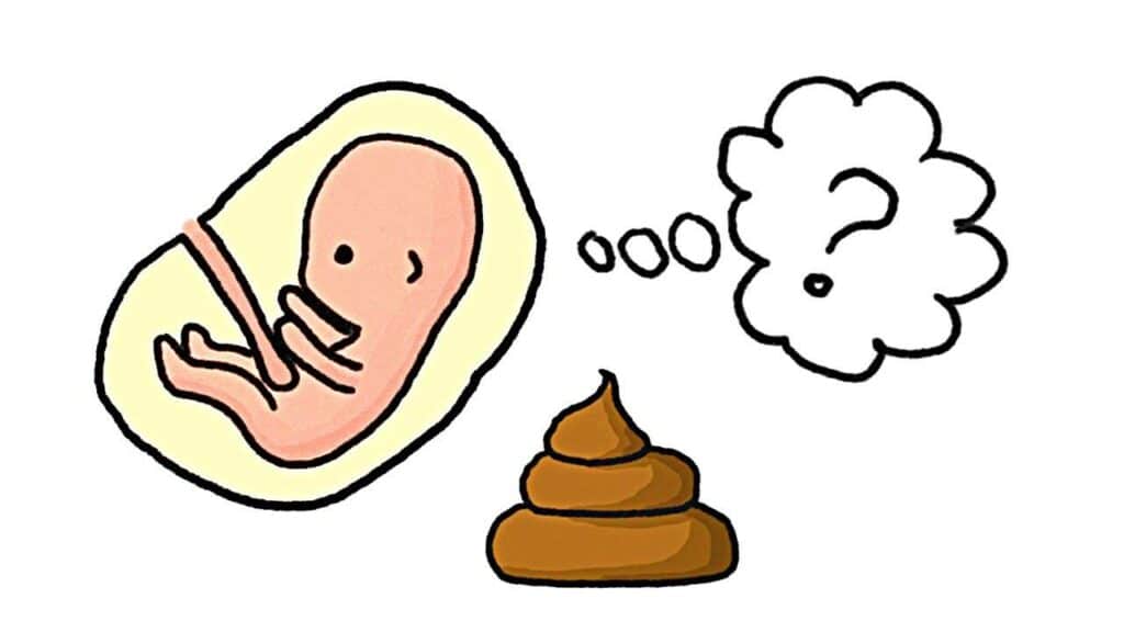 Vrše li fetusi nuždu? - GeeK.hr