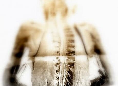 Kako funkcioniraju mišići?