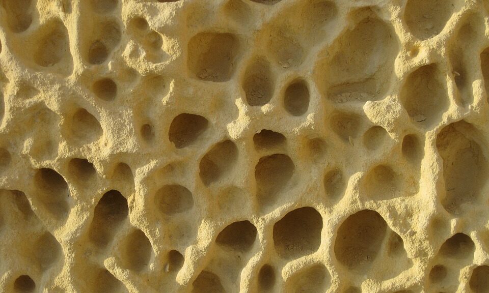 Tripofobija ipak nije fobija - Znanost